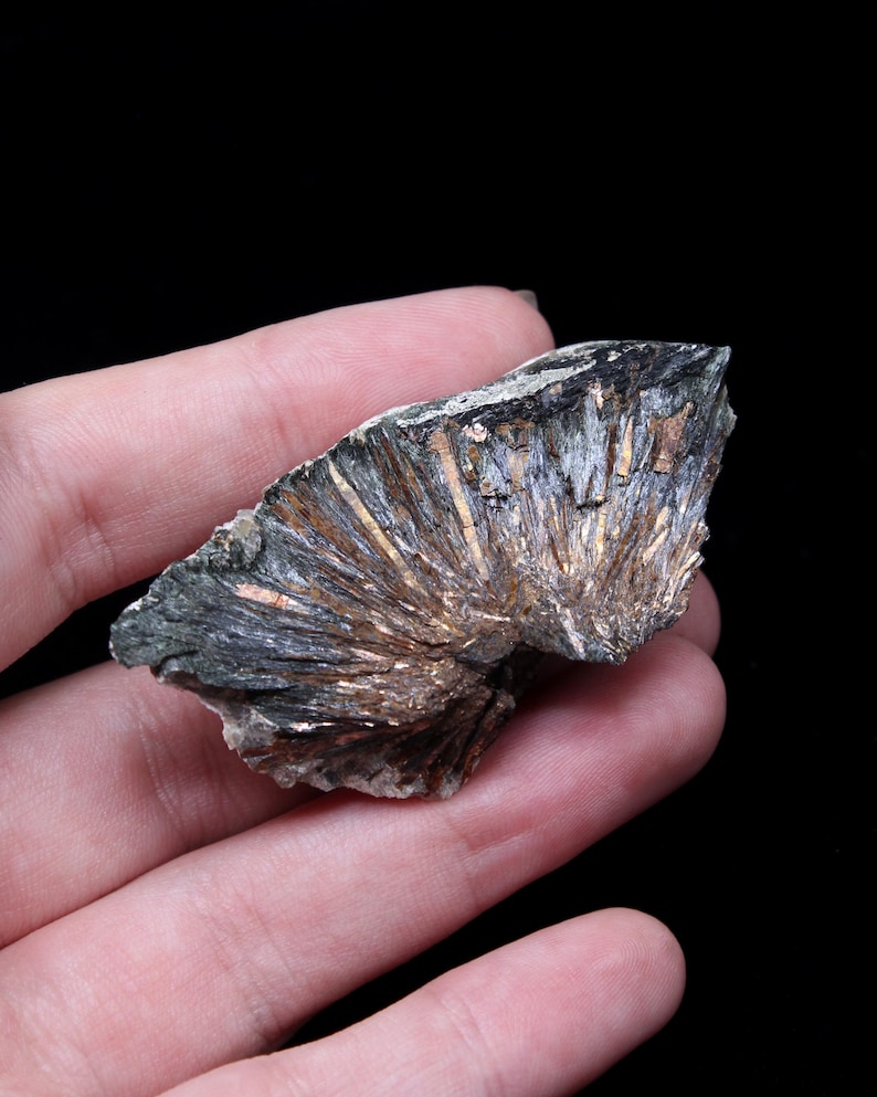 Starburst Astrophyllite Mineral Specimen 55x26mm, Kola Peninsula ...