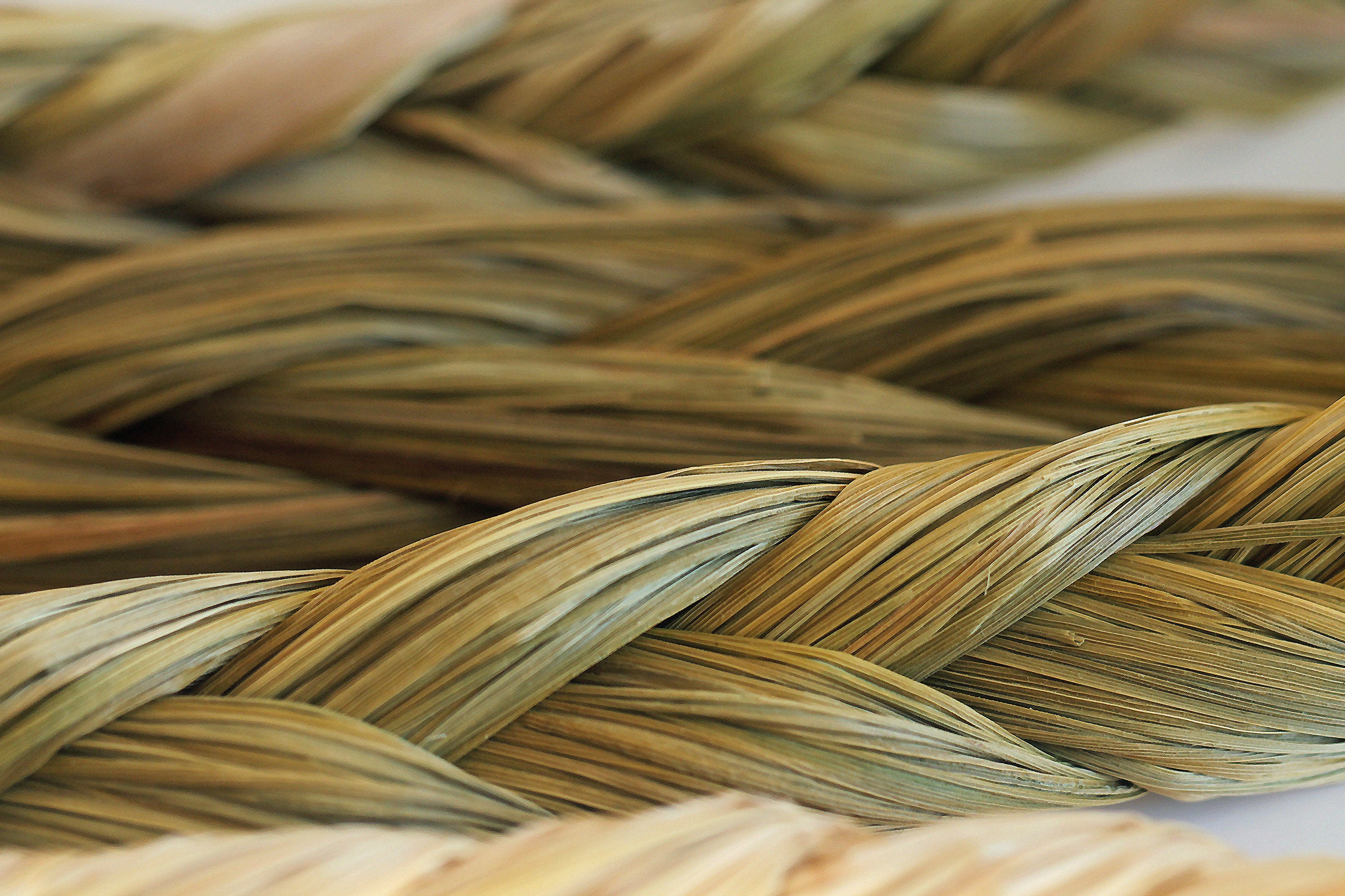 Sweetgrass Braids Note Card Set (4) - Etsy