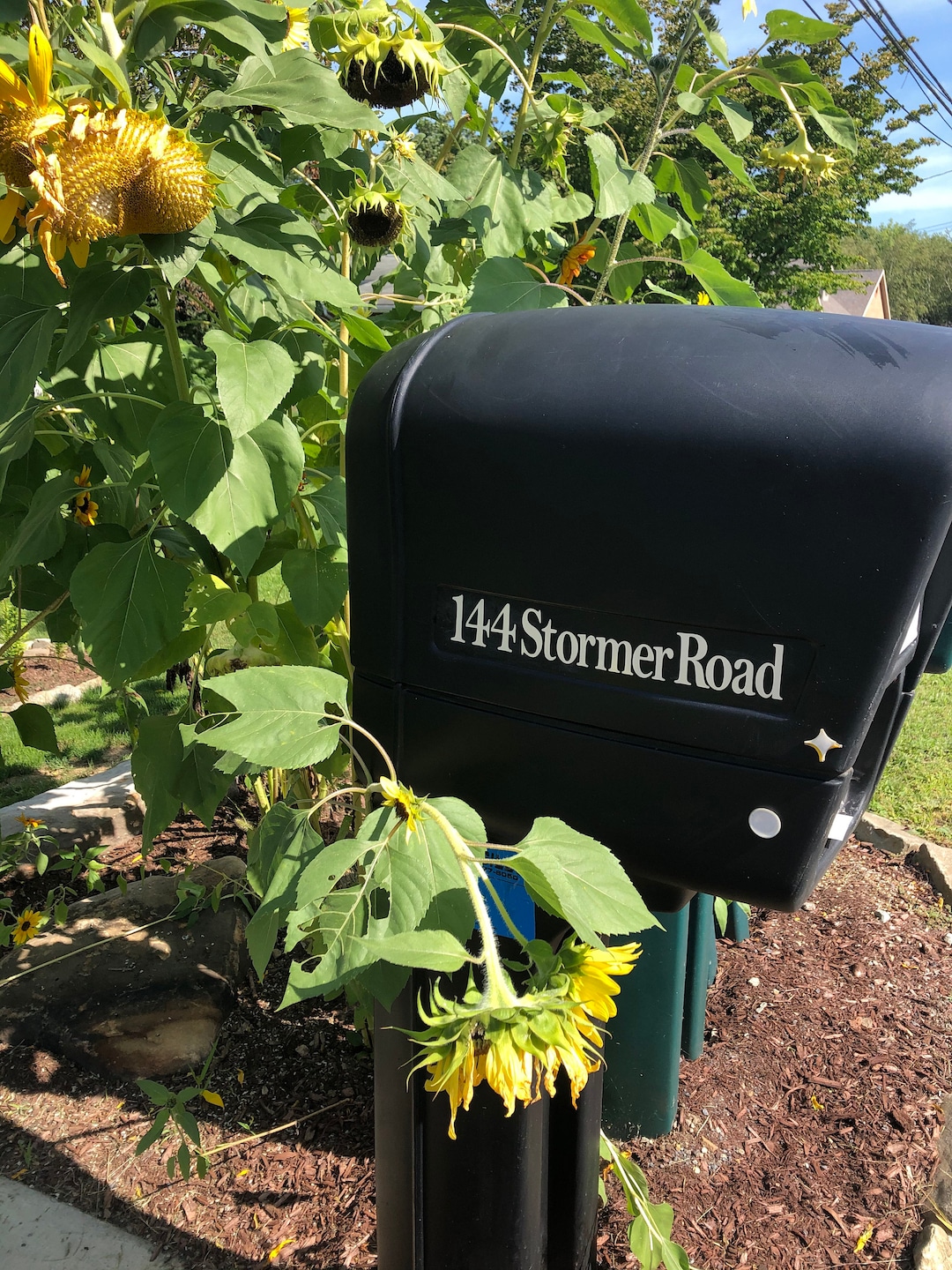 Custom Address Decal (decal Only) - Etsy