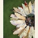 Coming up Daisies Fine Art Cards - Etsy