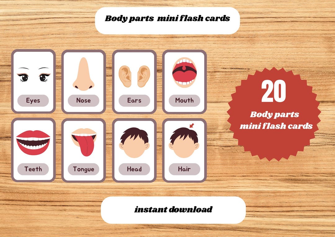 Body Parts Mini Flash Cards for Toddlers and Pre-schoolers[6 Months to ...