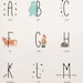 Woodland Animal Alphabet Wall Sticker Decal Educational Wall - Etsy