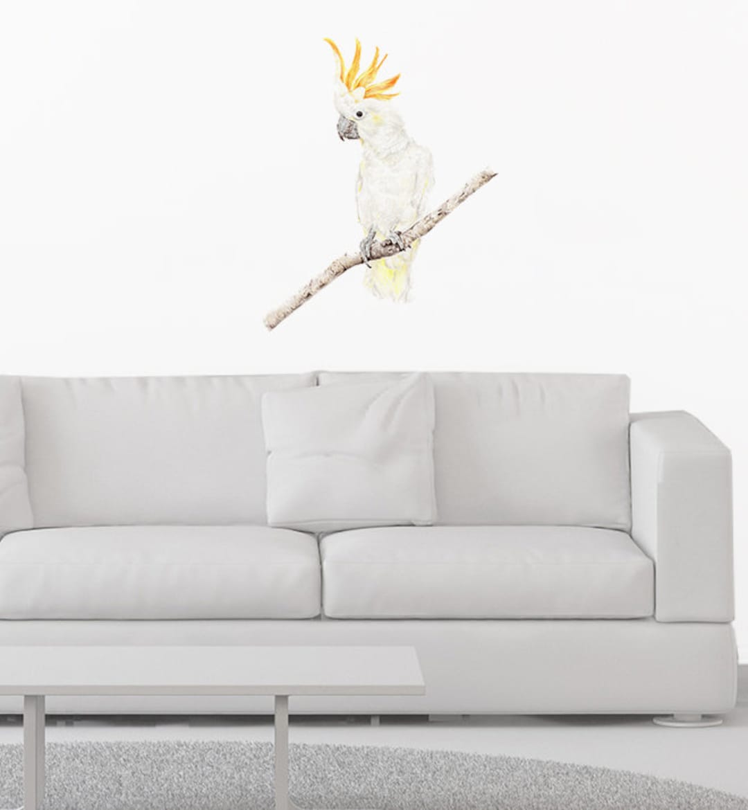 Brucey the Cockatoo Wall Sticker Decal | Australian Animal Decals ...