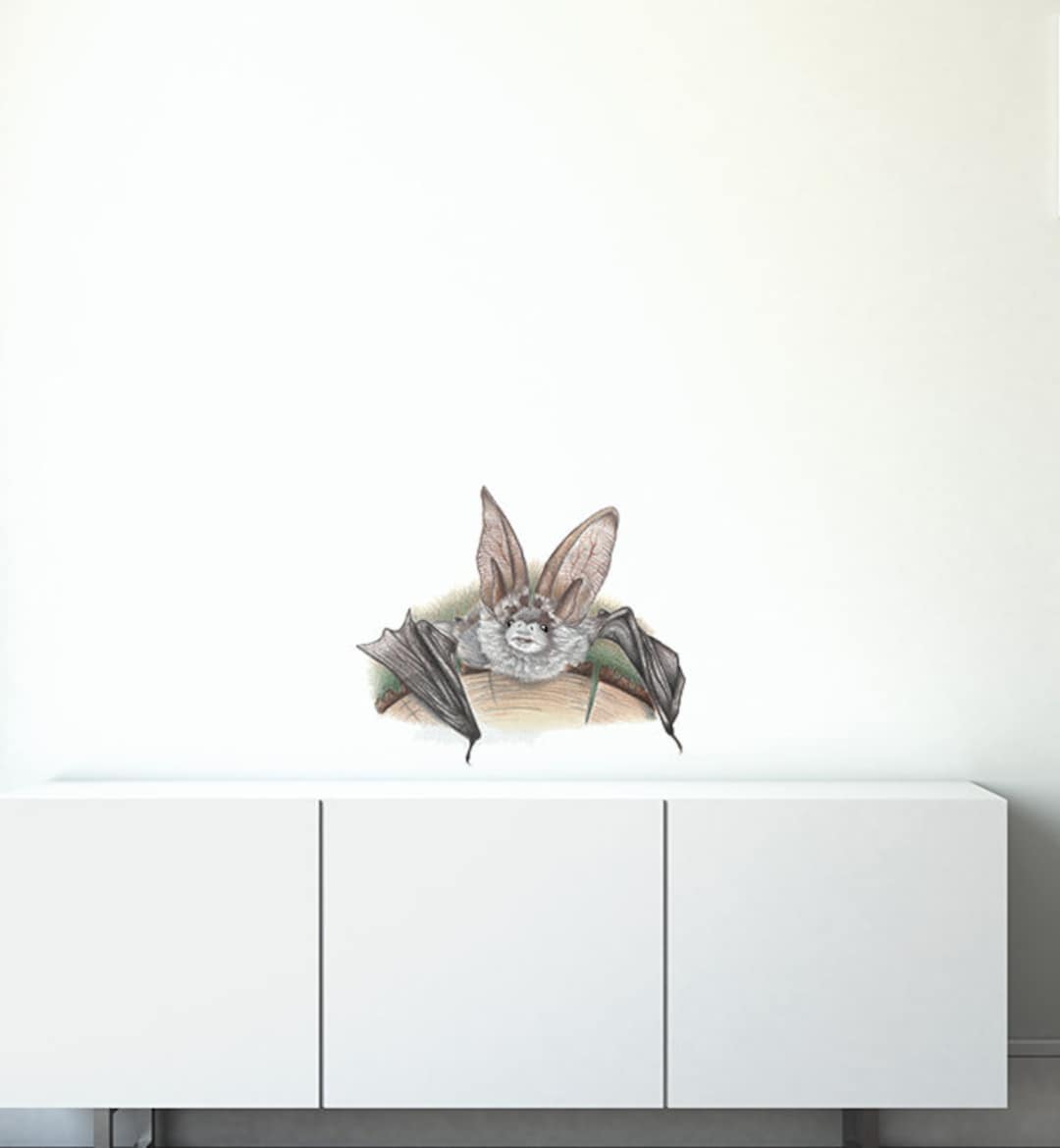 Crawling Bat Wall Sticker Decal | Kids Wall Stickers, Animals Wall ...
