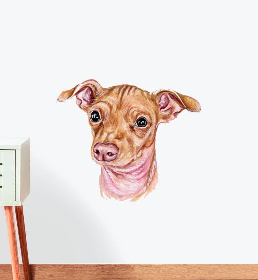 Small Brown Whippet Wall Sticker Decal | Dogs and Pets Wall Stickers ...