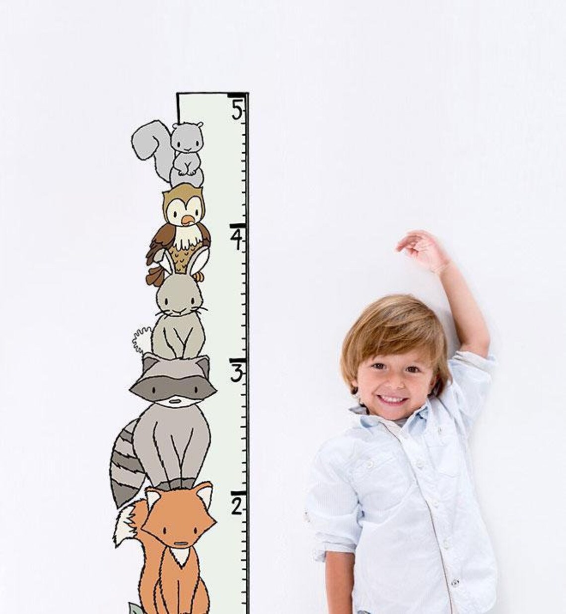 Woodland Growth Chart Wall Sticker Decal Educational Wall | Etsy