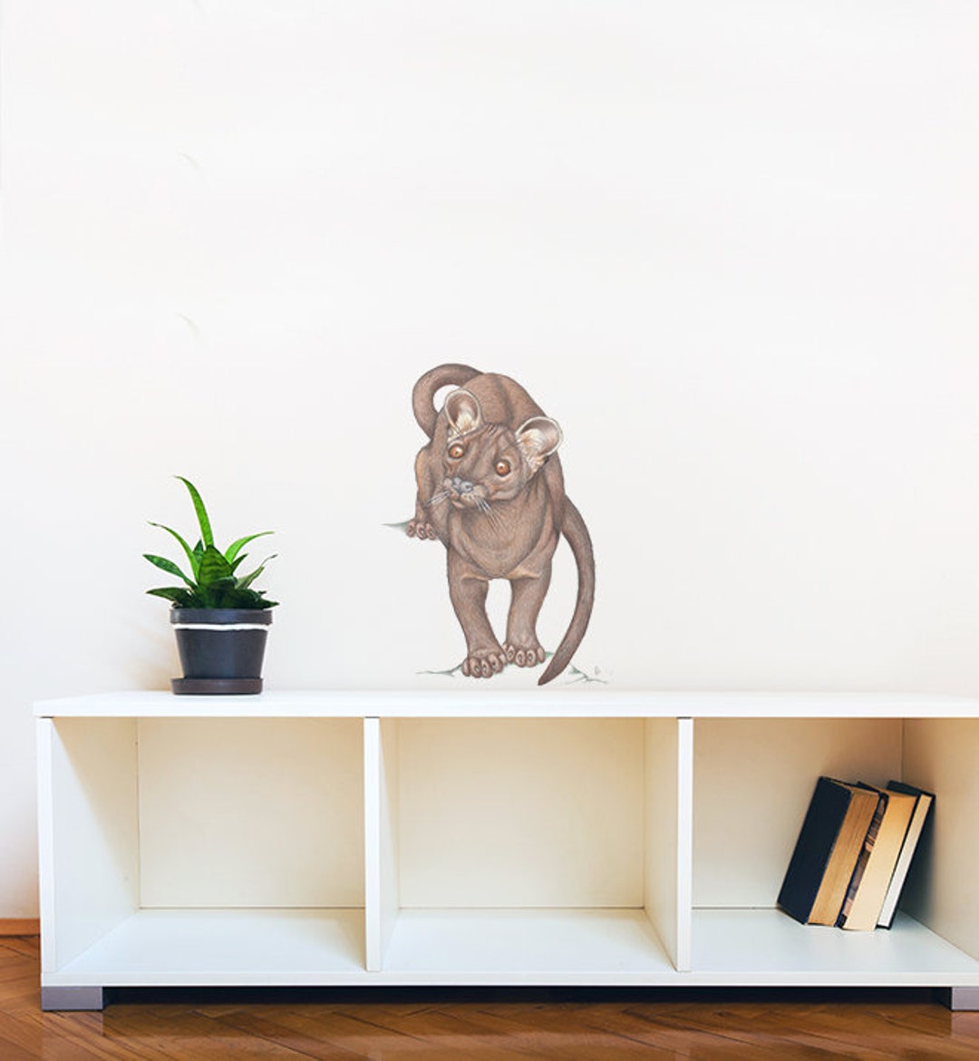Curious Fossa Wall Sticker Decal Kids Wall Stickers Animals - Etsy