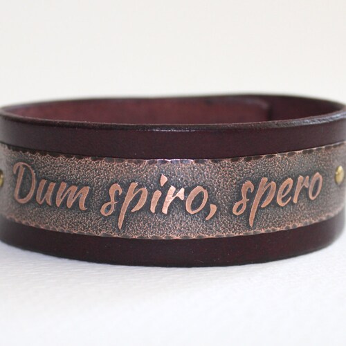 Dum Spiro Spero/png - Etsy
