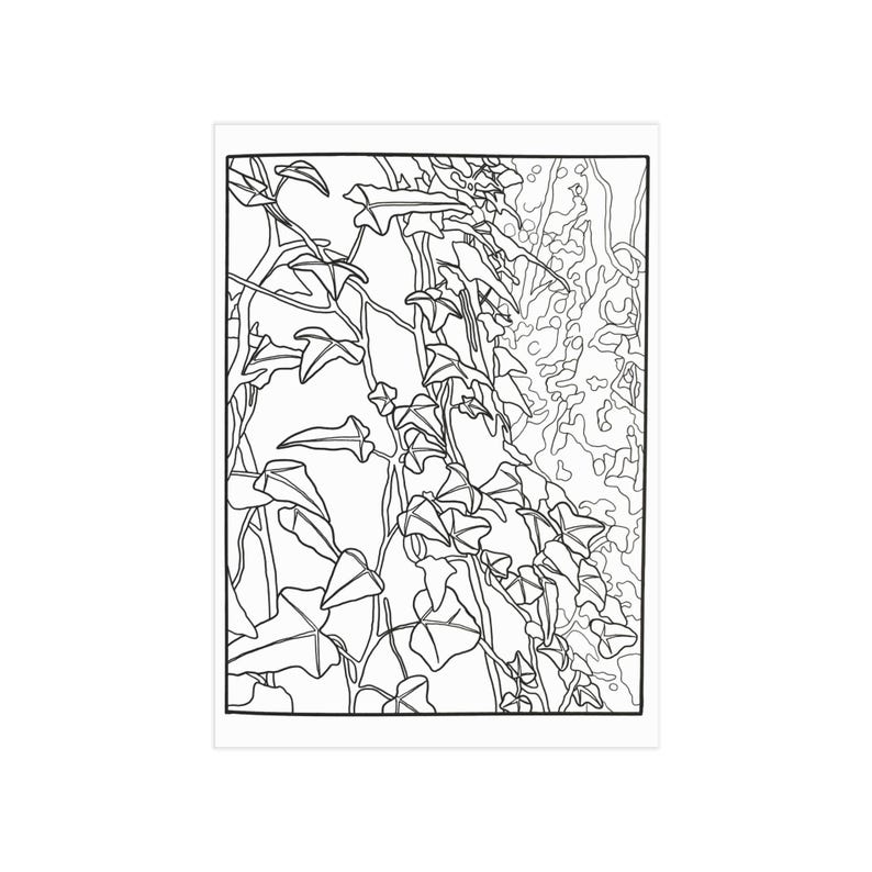 Ivy Vine Line Art Unframed Print | Botanical Wall Art, Minimal Plant ...