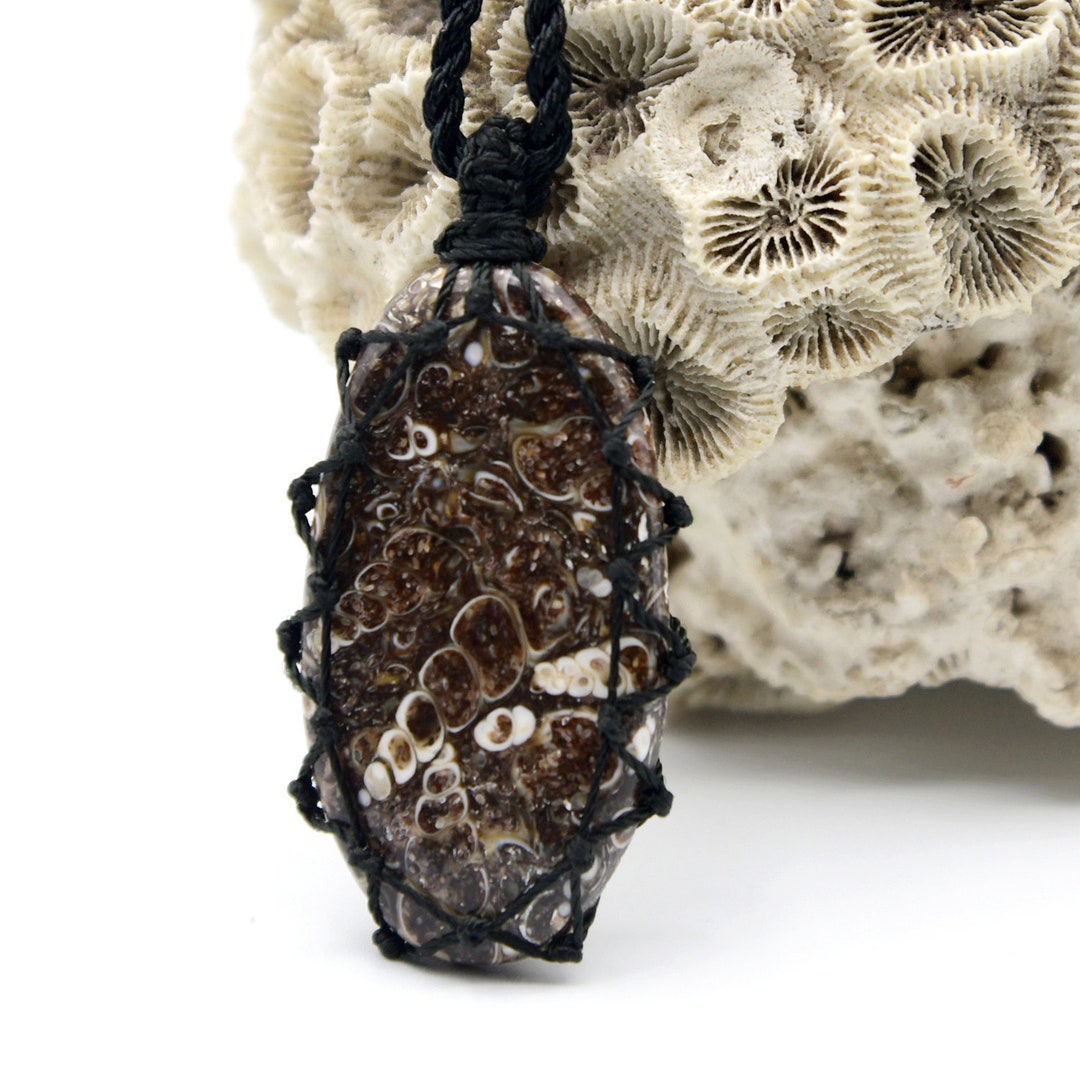 Macrame Fossil Snail Jewelry, Turritella Agate Pendant, Unique Seashell ...