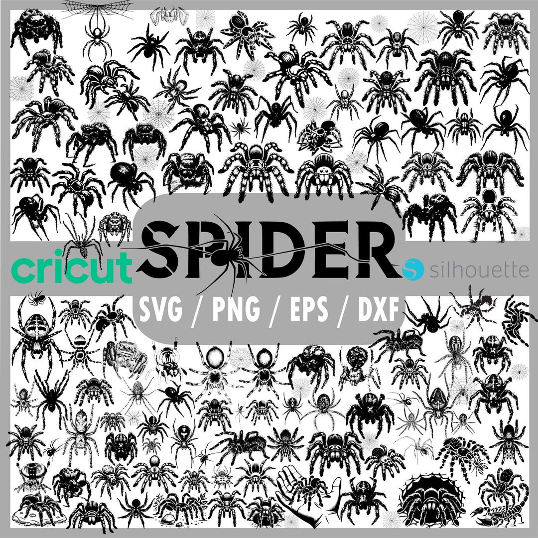 134 SVG Tarantula Spider Mega Bundle | Giant Spiders, Arachnid ...