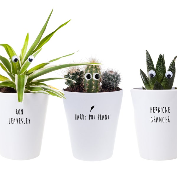 Plant Puns Pots - Etsy