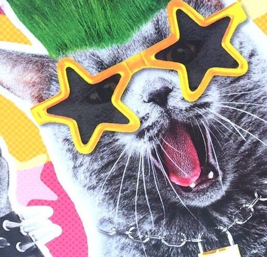 Buy Rock and Roll Punk Kitty BIRTHDAY or GREETINGS Card Online in India ...