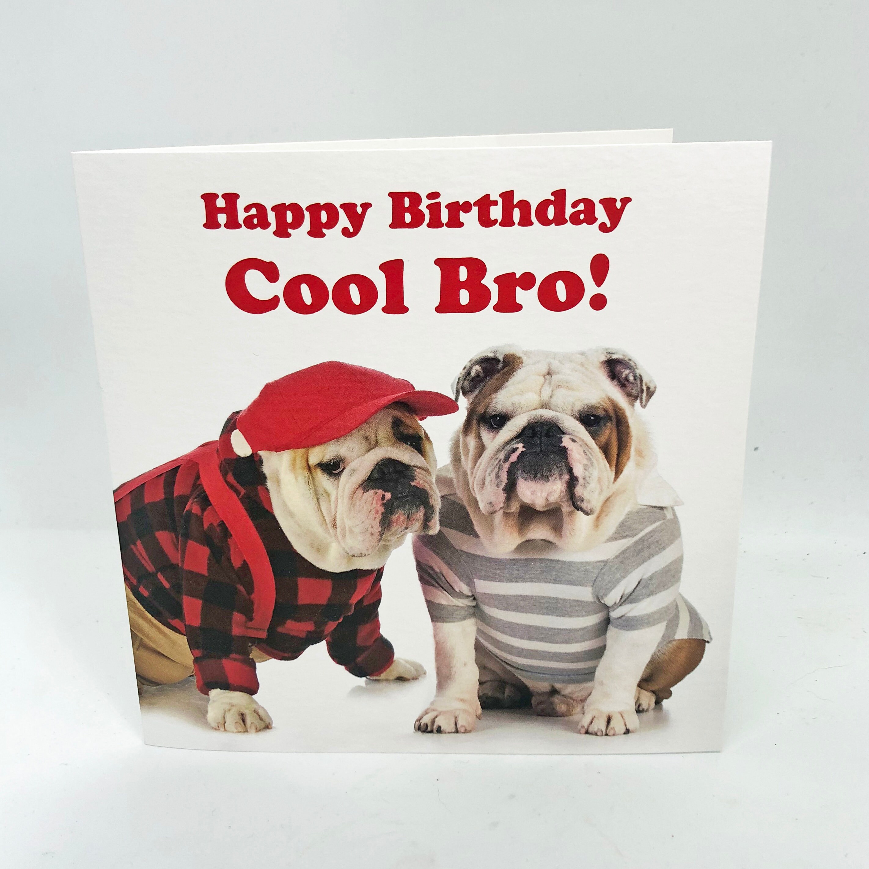 Happy BIRTHDAY to a Cool BROTHER From These Fabulous Bulldogs - Etsy ...