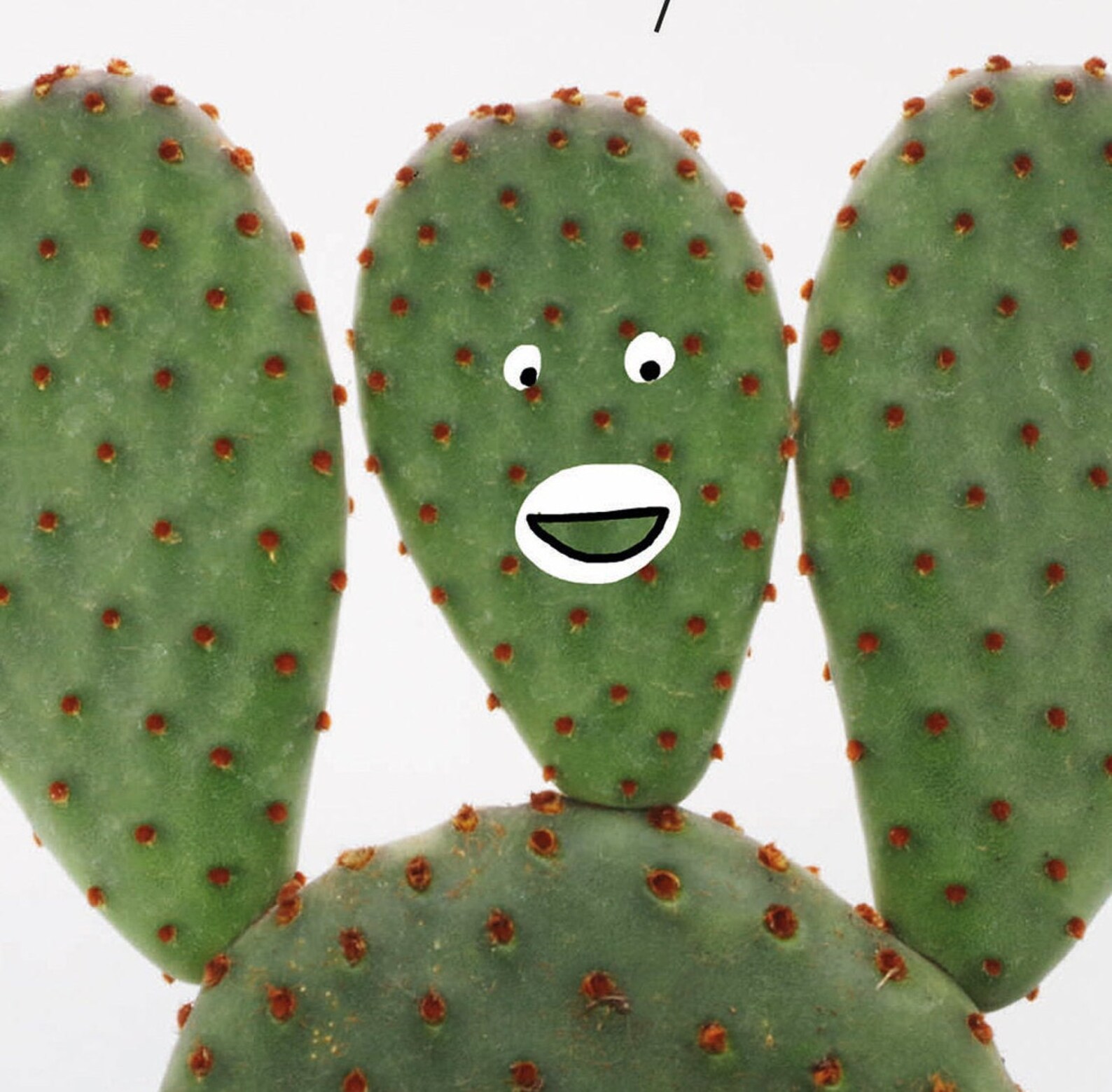 A QUIRKY, Humorous Talking Cactus BIRTHDAY Card - Etsy