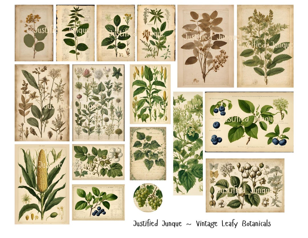 Vintage Botanical Ephemera: Leafy Plant Journal Cards (digital Download ...