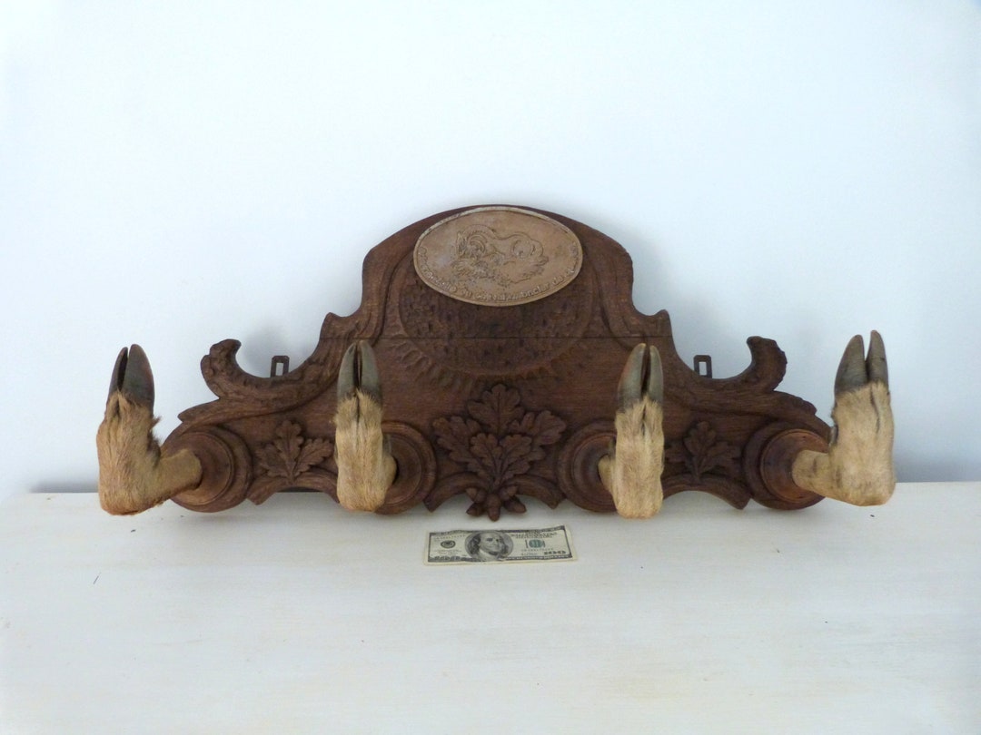 French Antique Deer Hoof Taxidermy Hooves Coat Hat Gun Rack Hooks W ...