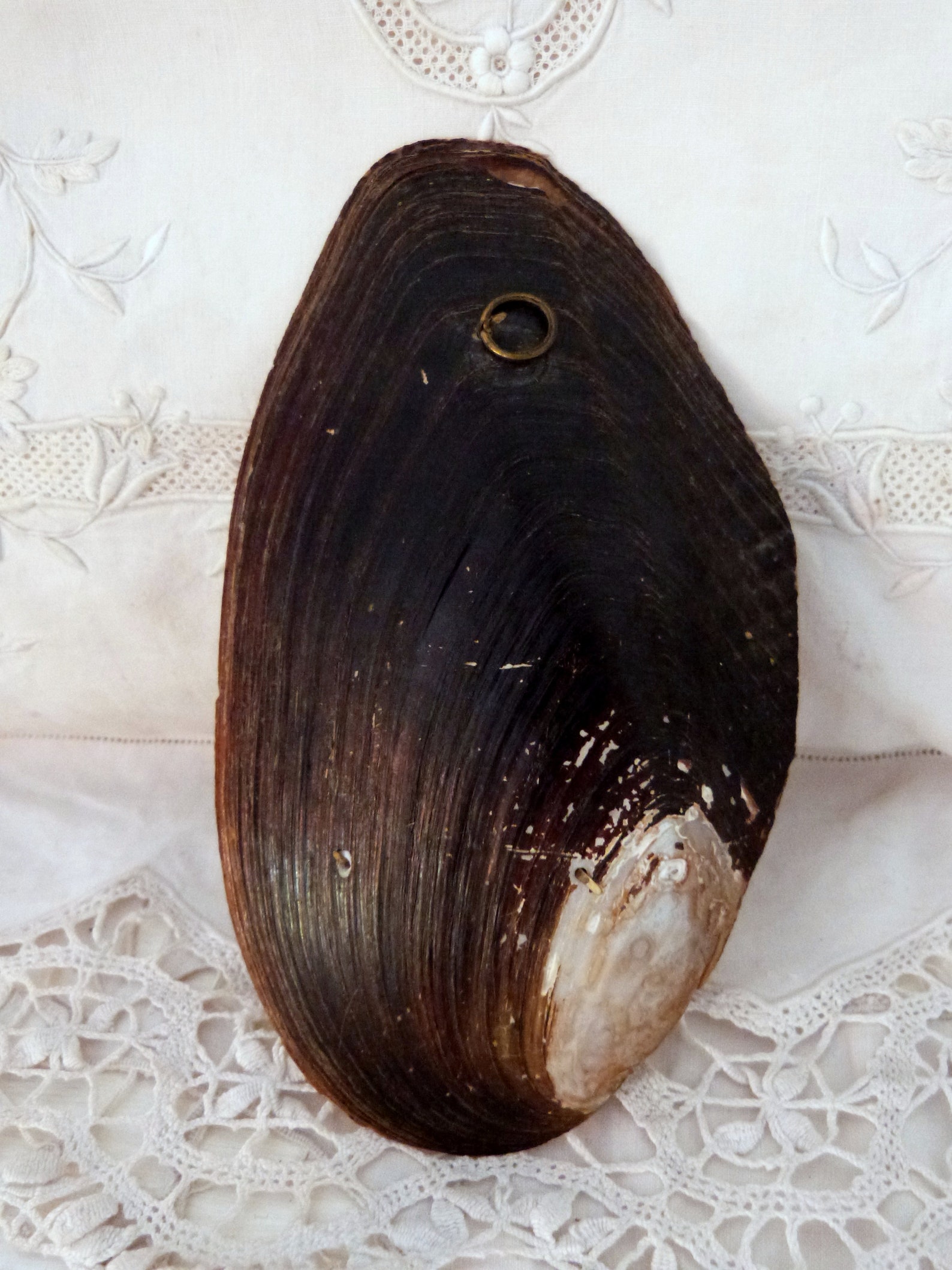 Holy Water Font Shell Antique French Religious Ormolu - Etsy