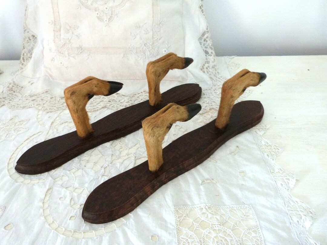 Pair Rare French Vintage Deer Hoof Taxidermy Hooves Coat Hat Gun Rack ...