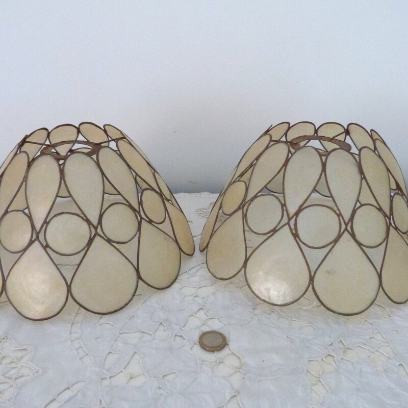 Shell Lamp - Etsy