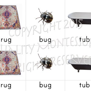 PDF Phonetic Word 3-part CVC Word Cards in Print, Cursive and D'nealian ...