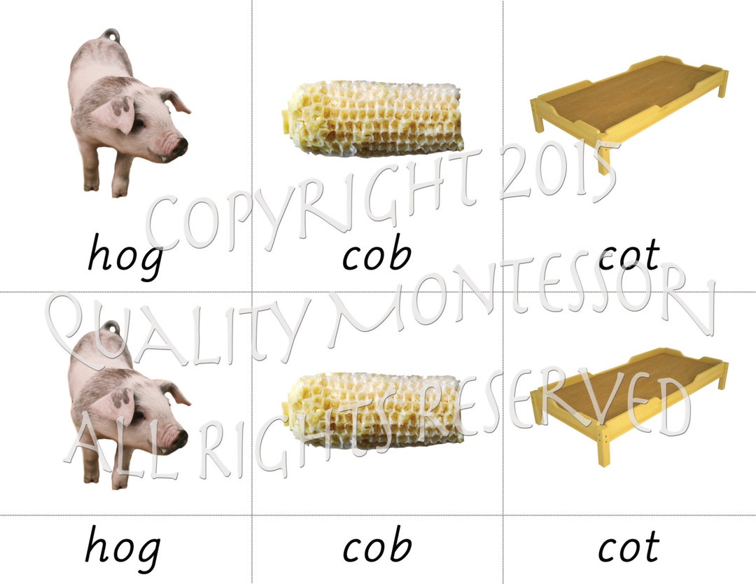 PDF Phonetic Word 3-part CVC Word Cards in Print, Cursive and D'nealian ...