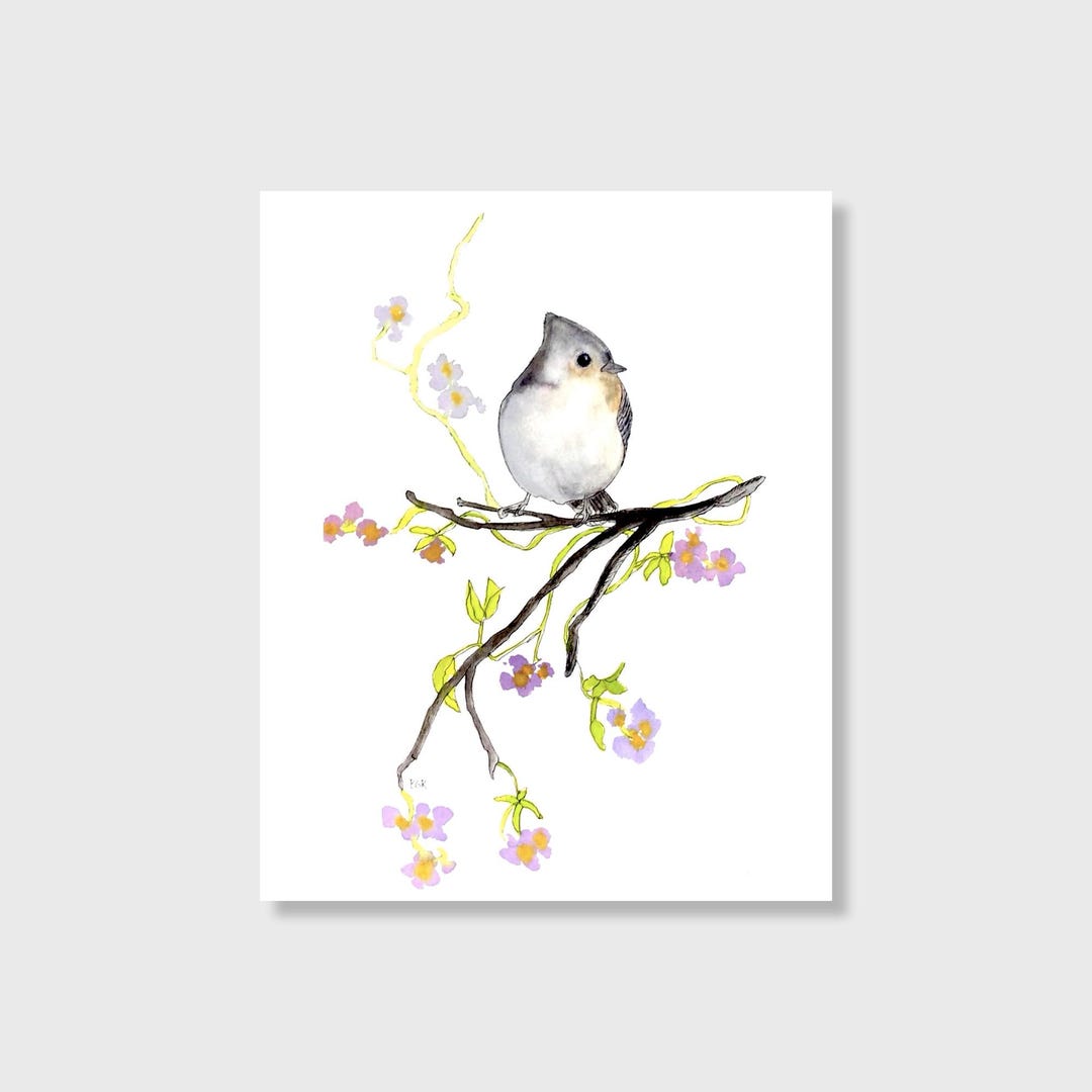 Tufted Titmouse Watercolor Print: Bird Wall Art - Etsy