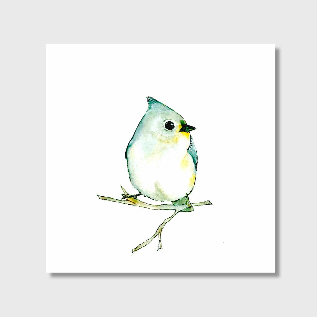Bird Art Print: Tufted Titmouse Watercolor Painting - Etsy