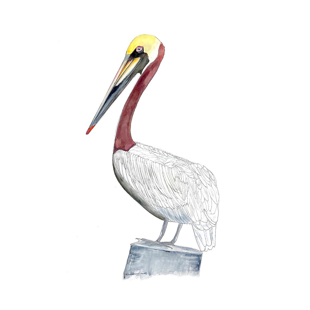 Bird Art Large Bird Painting Original Watercolor - Etsy