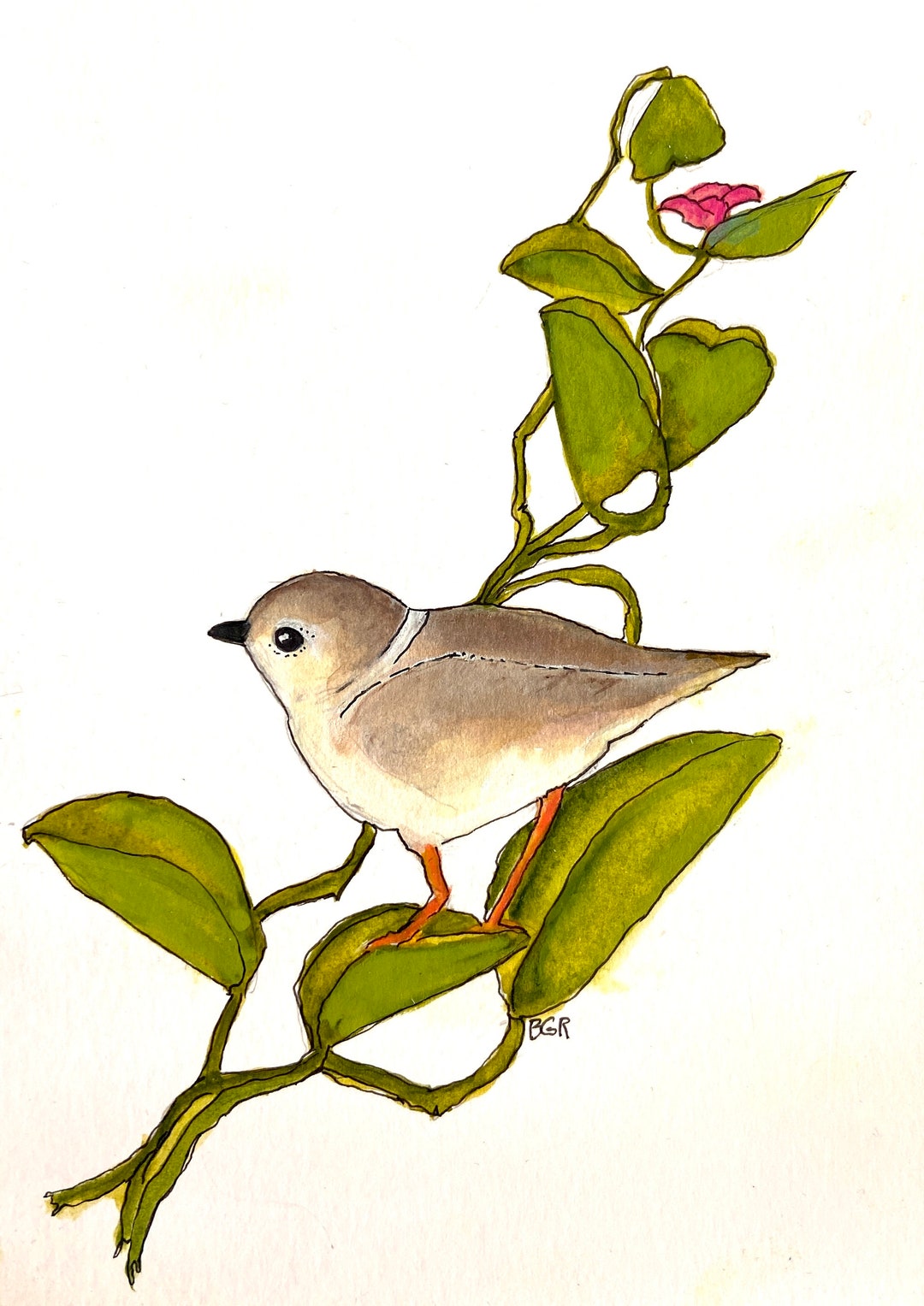 Original Art, Watercolor Painting, Plover Beach Bird Painting, One of a ...