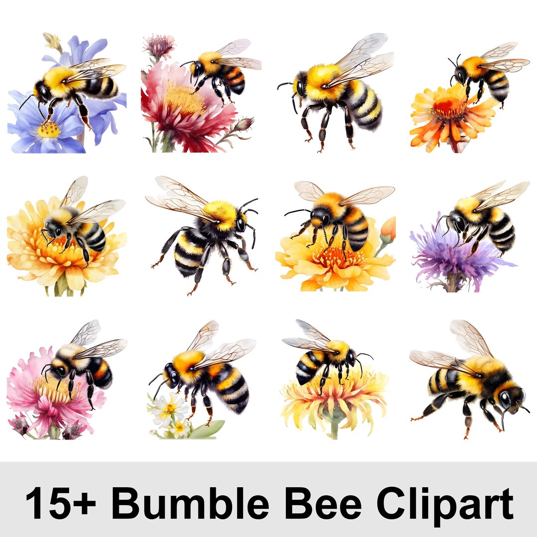 Bumble Bee Clipart Bundle 15+ PNG | Cute Bese Illustrations | Spring ...