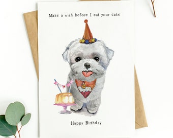 Maltese Birthday Card - Etsy