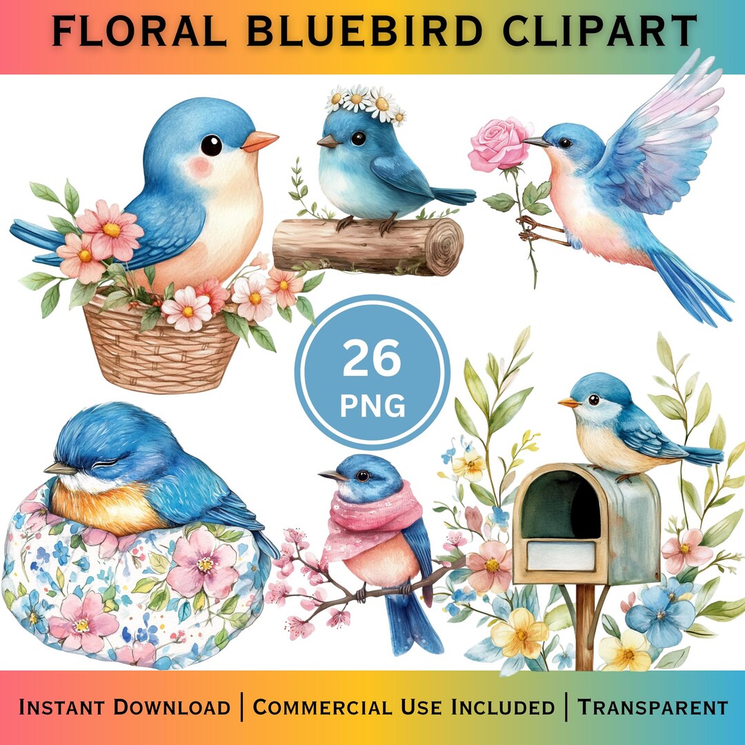 Floral Bluebird Clipart Bundle | Watercolor 26 Blue Bird PNG for Cricut ...