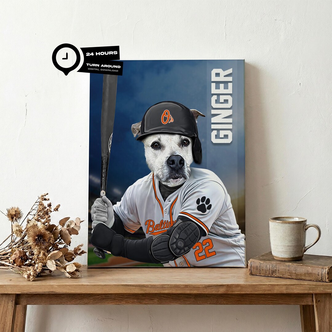Custom Baseball Pet Wall Decor, Boston Red Baseball, Personalized ...