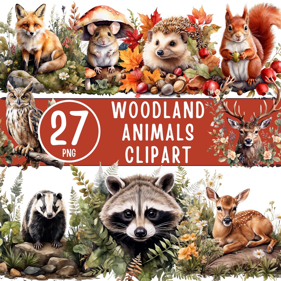 Woodland Animals Clipart Bundle, 27 Forest Animals Watercolor PNG ...