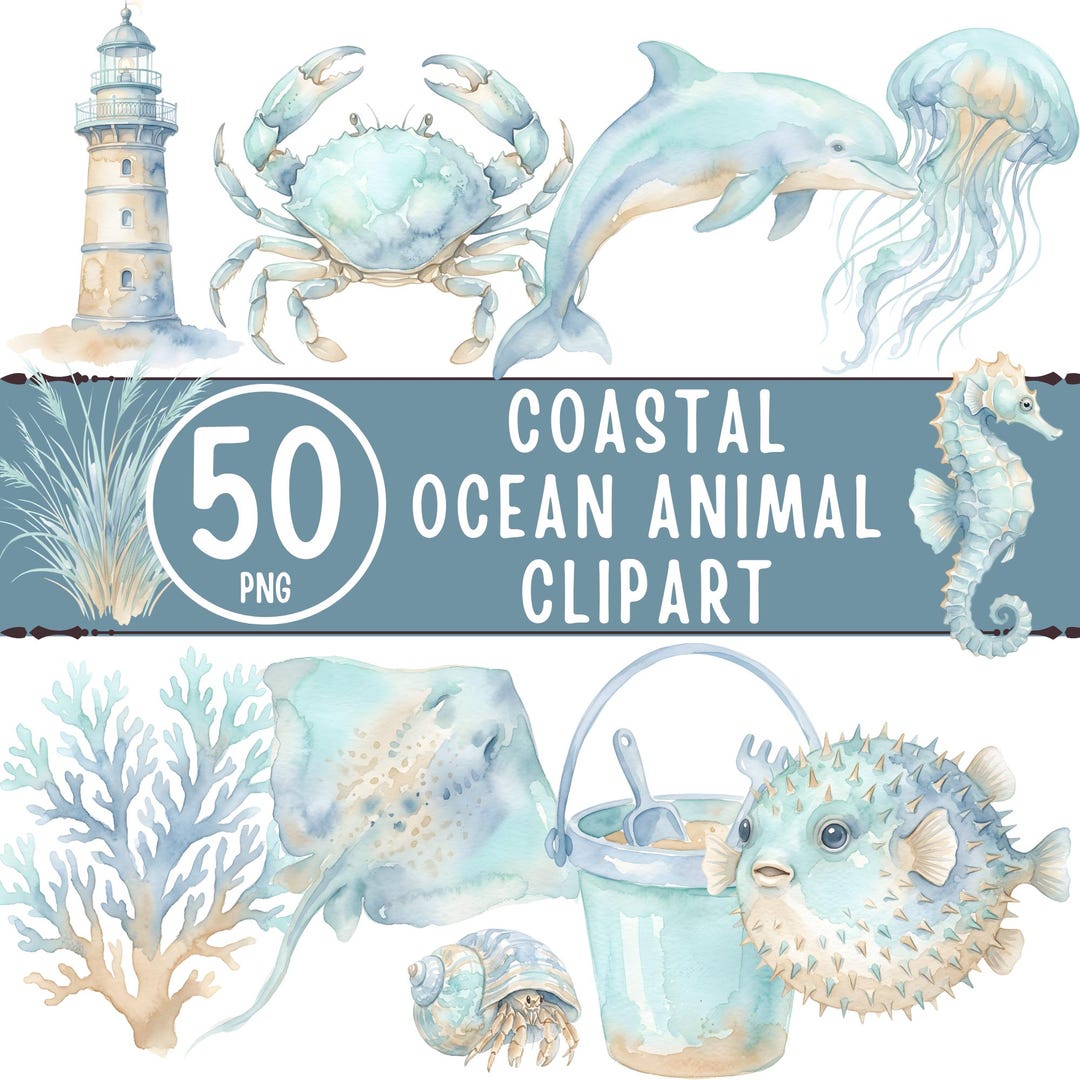 Watercolor Ocean Animal Clipart Bundle - Coastal Sea Life PNG Set ...