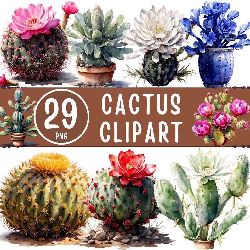 Cactus Clipart Bundle PNG - 29 Watercolor Cacti & Desert Plants ...