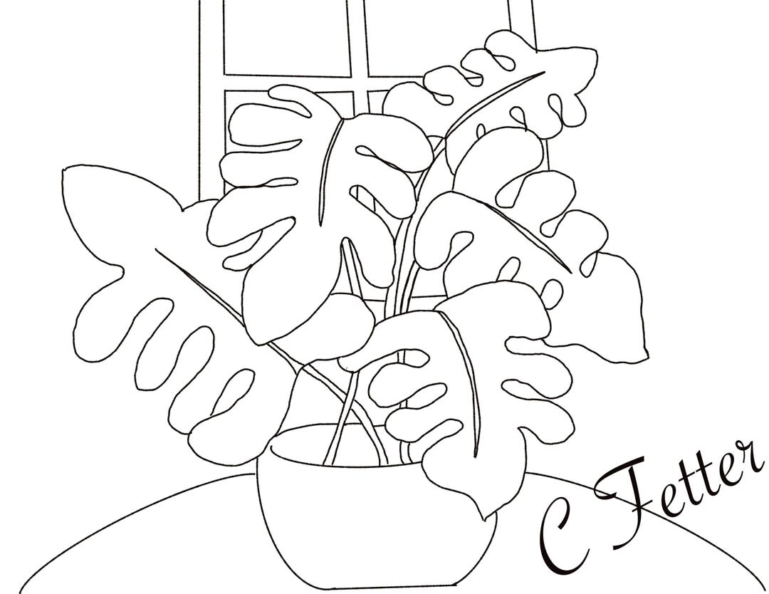 Monstera Plant Adult/child Coloring Page, Downloadable Art, Color Sheet ...