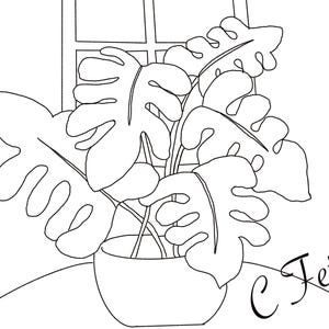 Monstera Plant Adult/child Coloring Page, Downloadable Art, Color Sheet ...