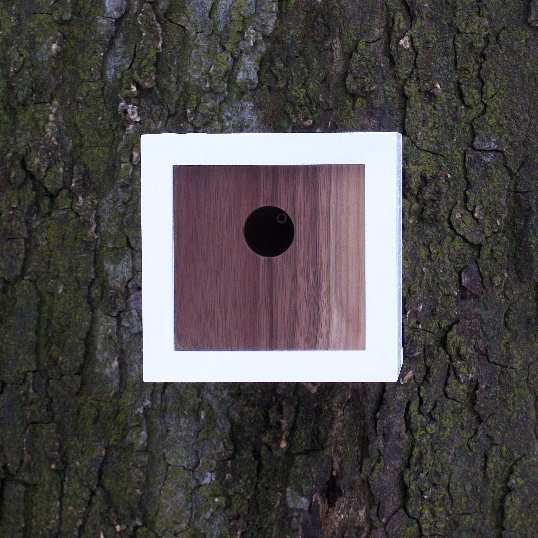 Modern Contemporary Reclaimed Wood Birdhouse \ Nest Box \ Walnut ...