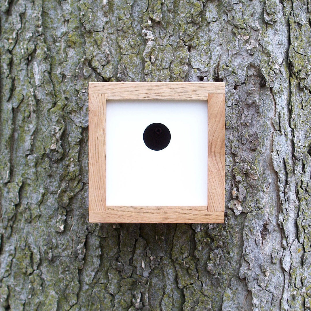 Modern Contemporary Reclaimed Wood Birdhouse \ Nest Box \ White ...