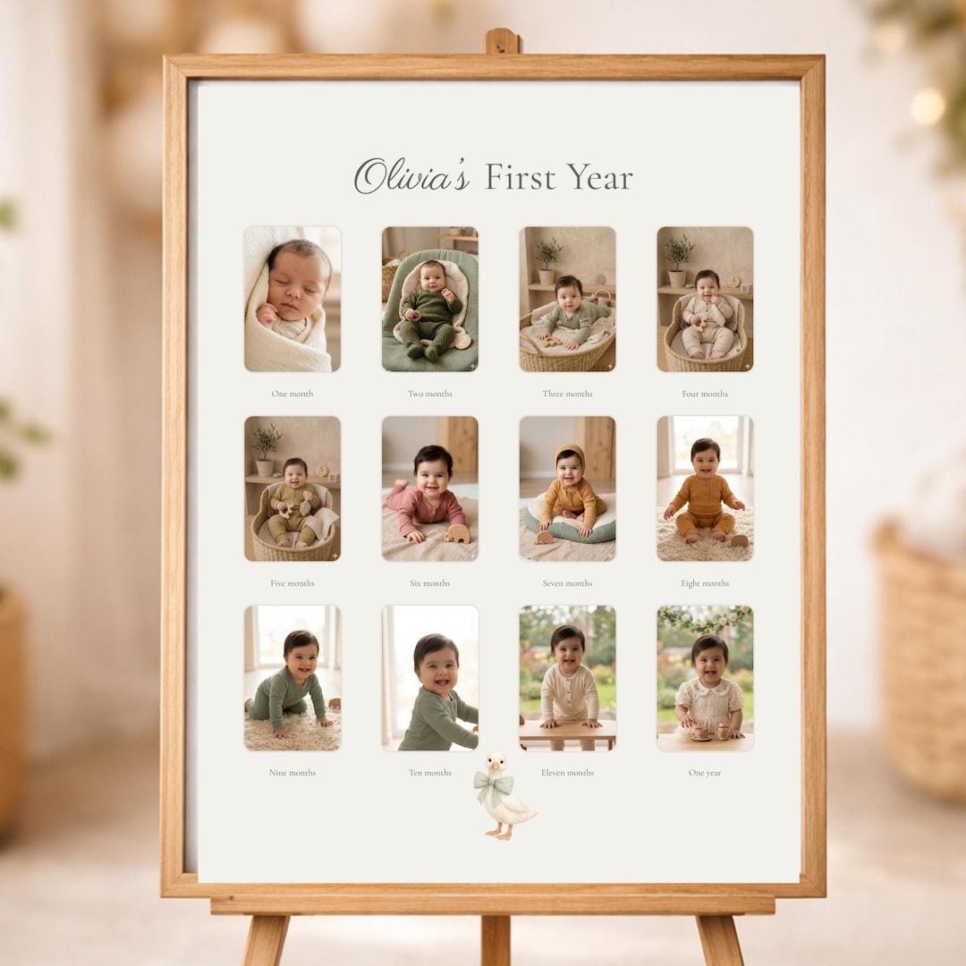 Editable Silly Goose First Year Photo Board Canva Template, Baby ...