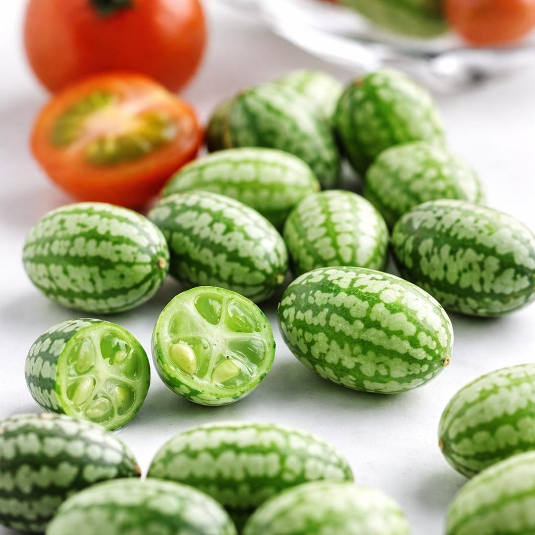 Cucamelon Seeds 20PCS Melothria Scabra Mini Watermelon Organic Garden ...