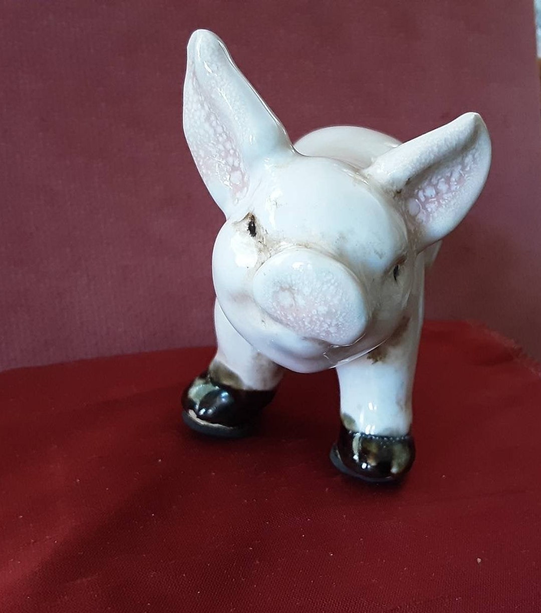 Pig: Older One With White Big Ears, Still Cute - Etsy