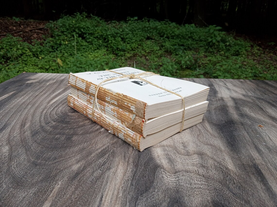 Unbound Book Collection Distressed Book Set Re Purposed - Etsy