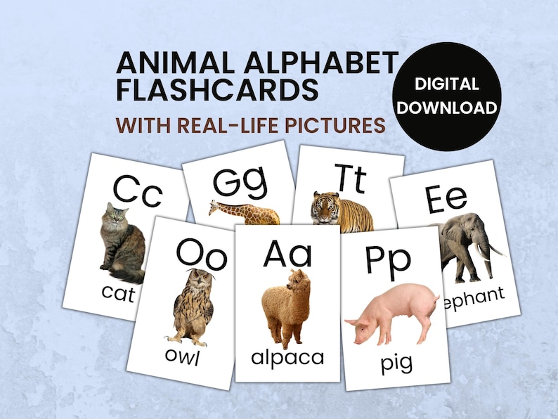 Animal Alphabet Flashcards: Montessori Toddler Activity Cards, Real ...