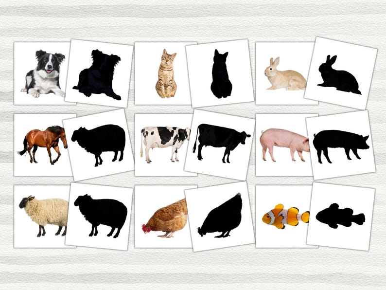 Animal Shadow Matching Cards: Montessori Toddler Activity, Real-life ...
