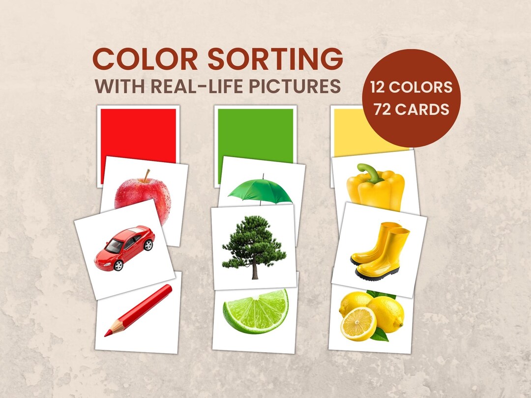 Color Sorting Play Cards: Montessori Toddler Activity Cards, Real-life ...