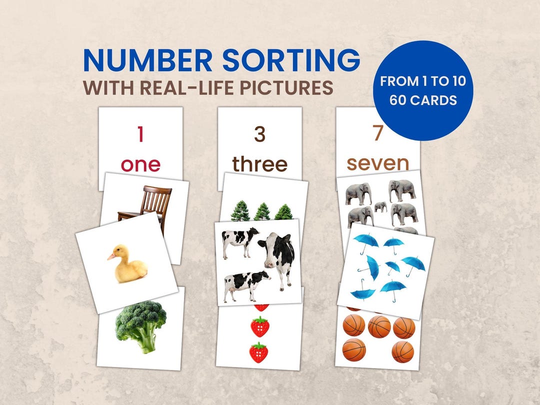 Number Sorting Play Cards: Montessori Toddler Activity Cards, Real-life ...