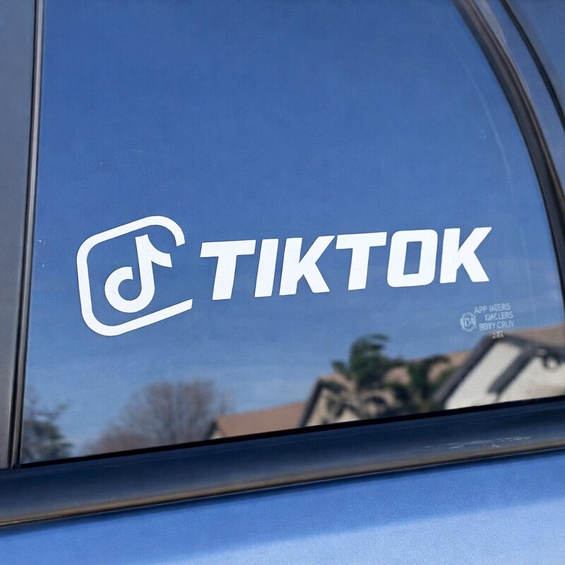 Custom Tiktok Stickers - Etsy
